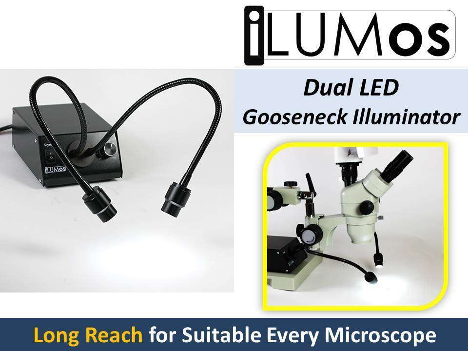 iLUMos Dual Gooseneck LED Microscope Illuminator