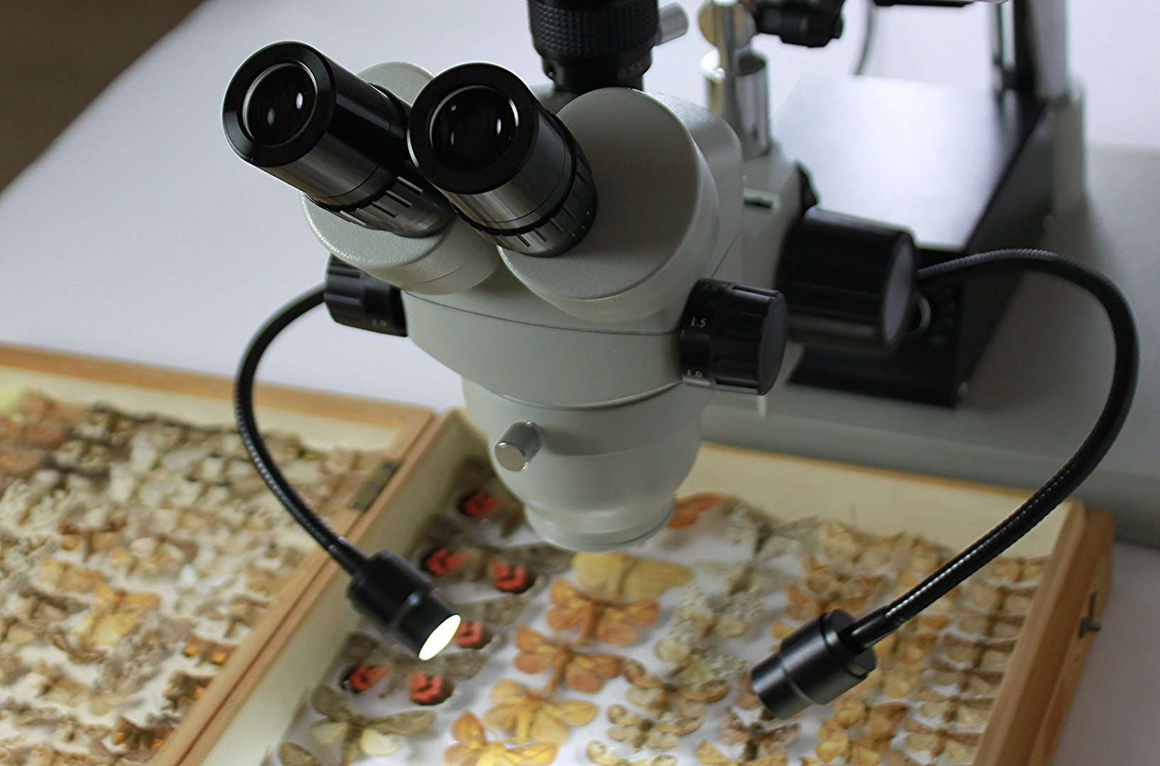 Microscope Illuminators
