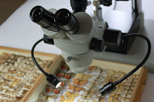 Microscope Illuminators
