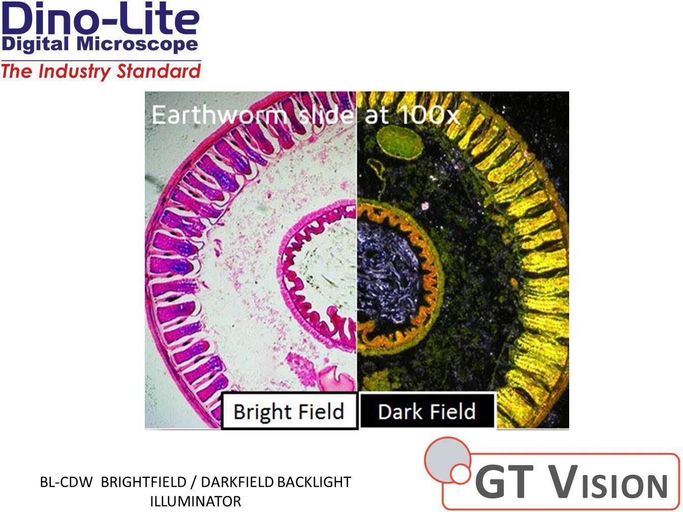 Dino-Lite BL-CDW Brightfield / Darkfield Backlight Illuminator