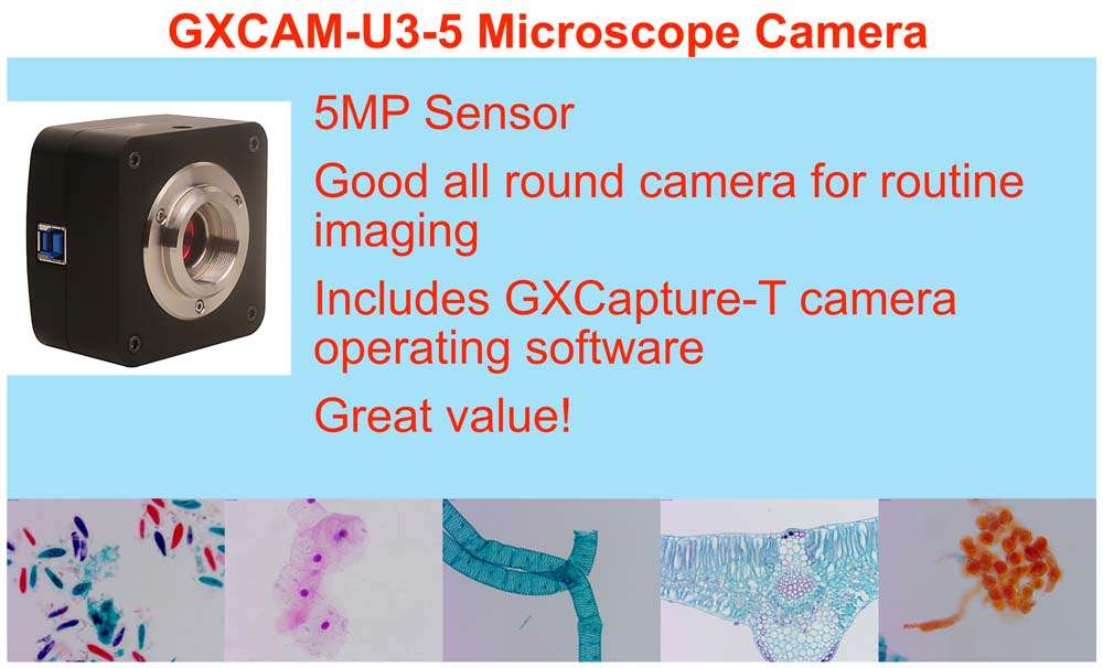 Microscope Cameras