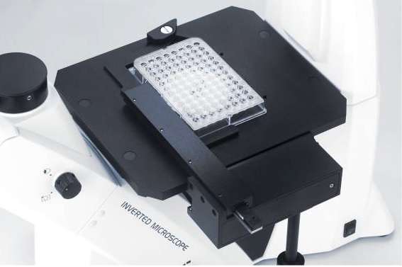 GXM-XDS400 Inverted Biological Microscope